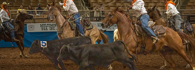 ranch rodeo finals