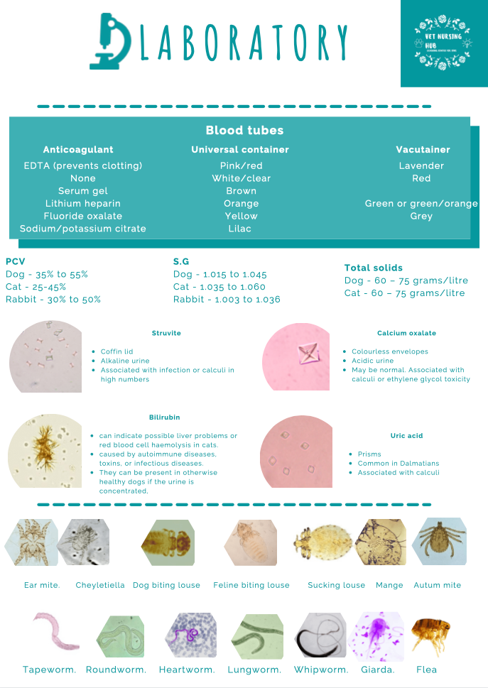 Laboratory | Veterinarynursehub | Student revision guides