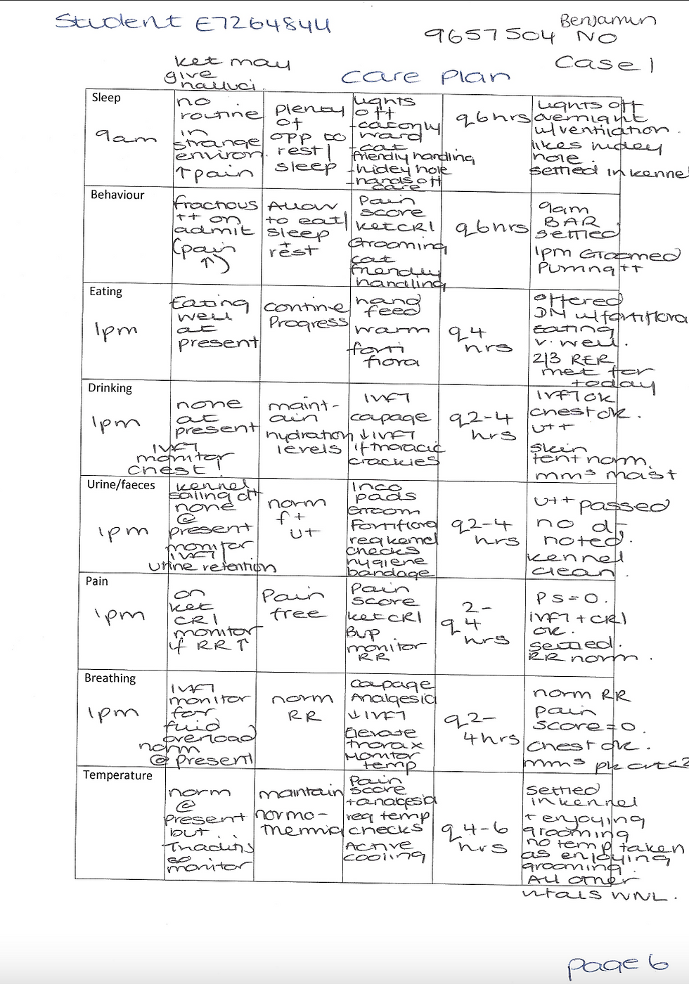 Care plan example - neonate | Veterinarynursehub