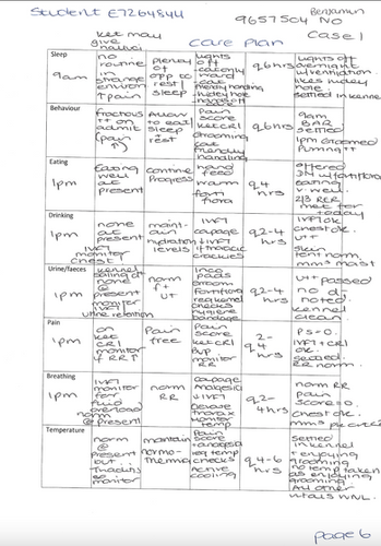 Care plan example - Triaditis | Veterinarynursehub