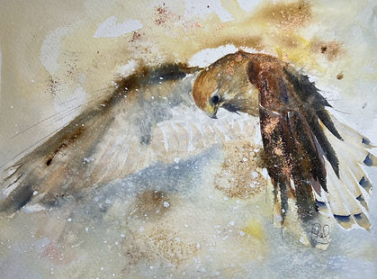 British Wildlife Artist | Rachel Singleton Art