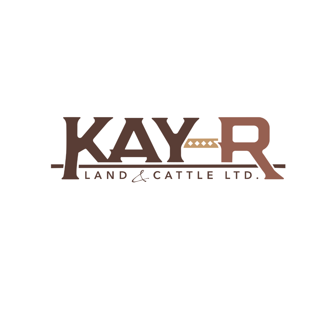 The Pursuit Sale 2025 | Elite Charolais Genetics by Kay-R Land and ...