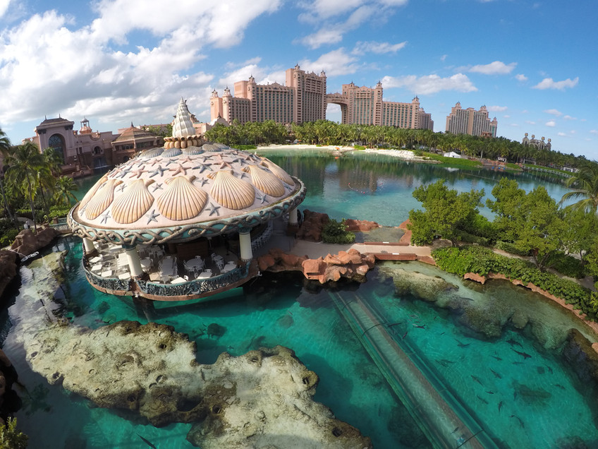 Pool Maintenance | Gunite Pools of Bahamas | New Providence