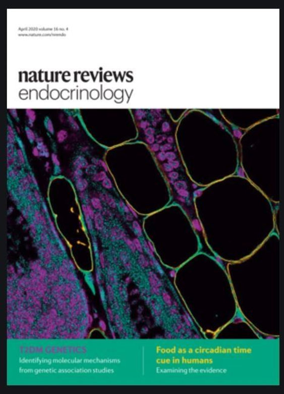 COVID-19 and ADHD, by Anthony T. Machi, M.D., L.F.A.P.A.