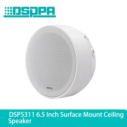 DSPPA DSP5311 6.5 Inch Surface Mount Ceiling Speaker | MetaMall