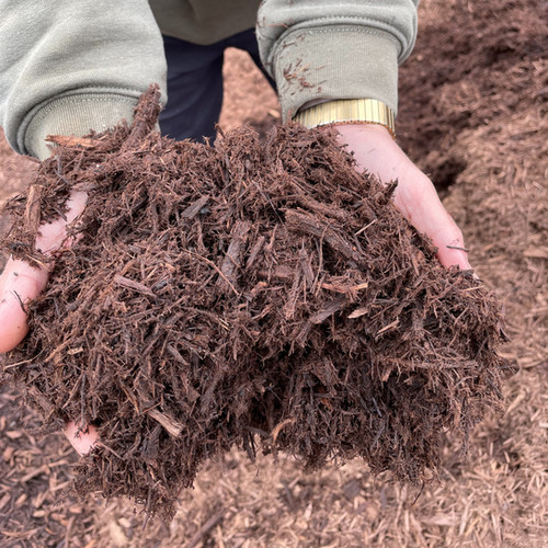 Royal Nut | 100% Walnut | Akrons Finest Mulch