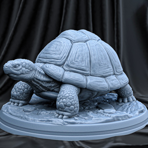 Tortoise Statue | The Artist Company