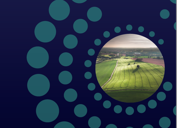 AUC-UK | Joint Research Strategy