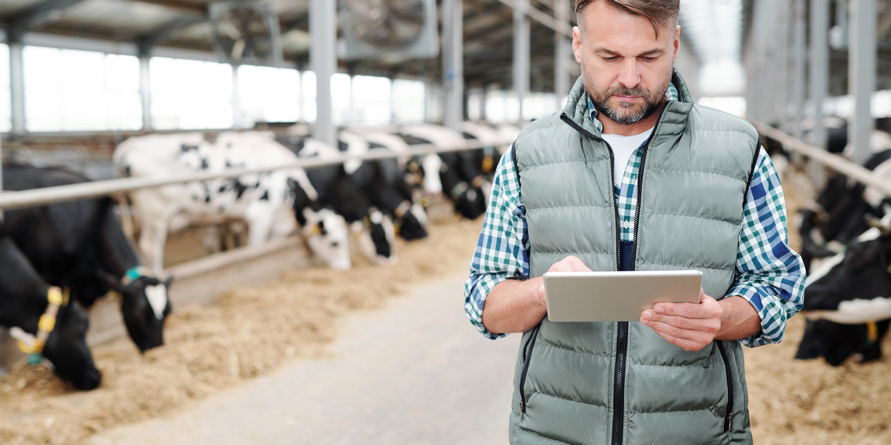 Cas réels en fermes, anomalies électriques détectées | PrevTech