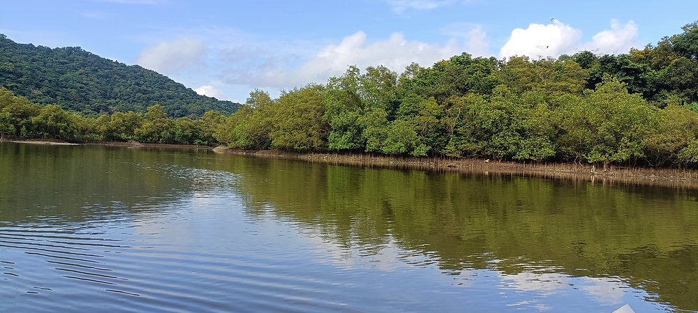 Song of the River