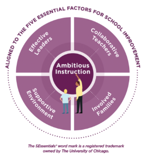 Facilitating a Collaborative Inquiry Culture