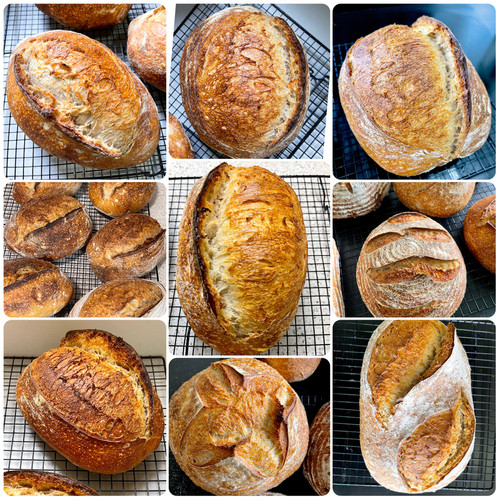 Sourdough Breads | Breads | Tropical Bakery
