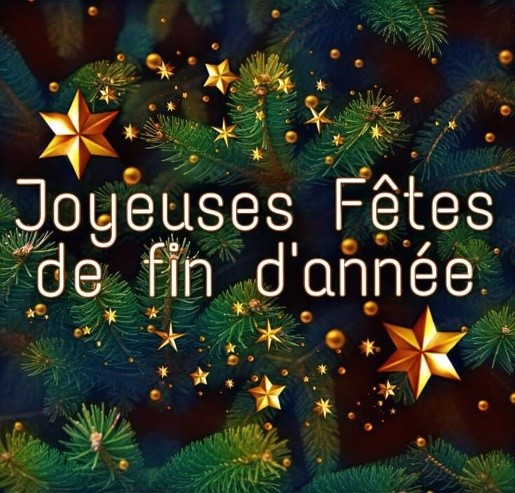 Joyeuses Fêtes de fin d'année à tous ! 🎄 ⛄