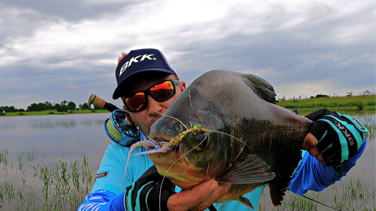 Amazon Jungle Fly Fishing trip in Peru | Go Fishing Peru