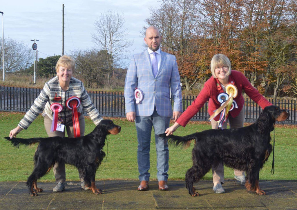 Home | Gordon Setter Club of Scotland