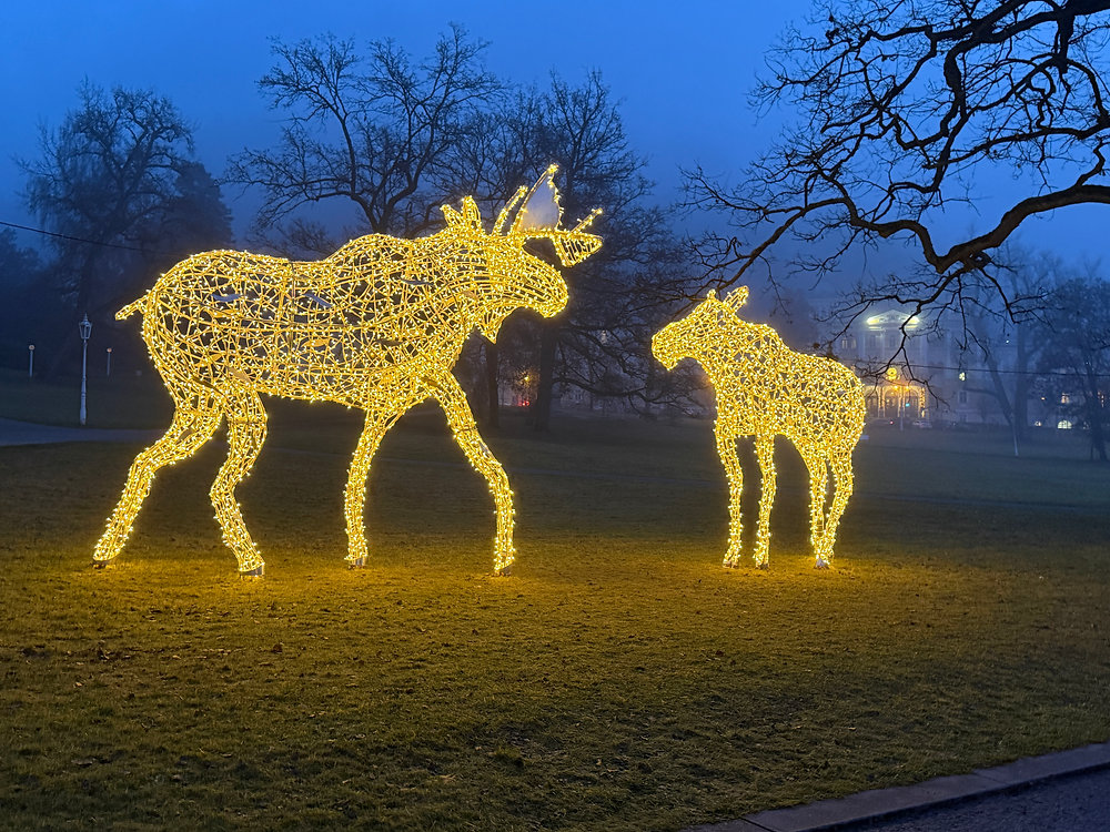 So schön war die Weihnachtsfahrt zum Falkensteiner Spa Marienbad....(18 ...