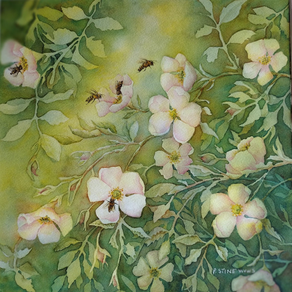 All-Member 2024 | WVWS