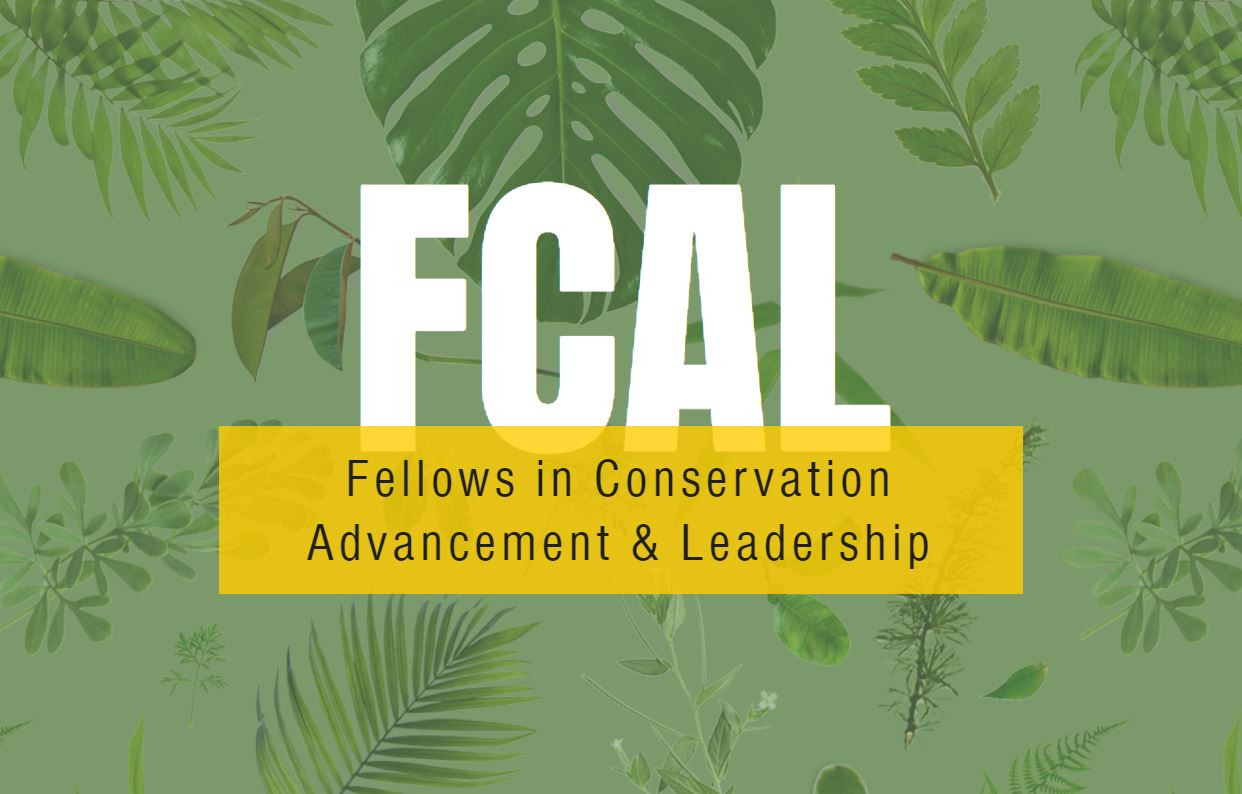 SCHEDULE 2023 / | FCAL