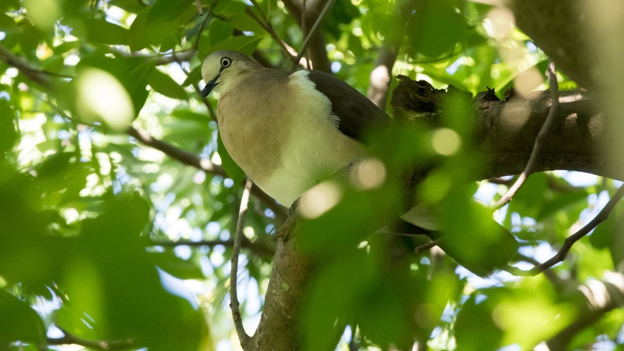 Stakeholder analysis and strengthening engagement to protect the ...