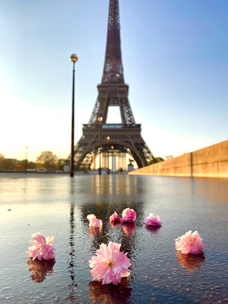 Pre- and post-river cruise itinerary extensions