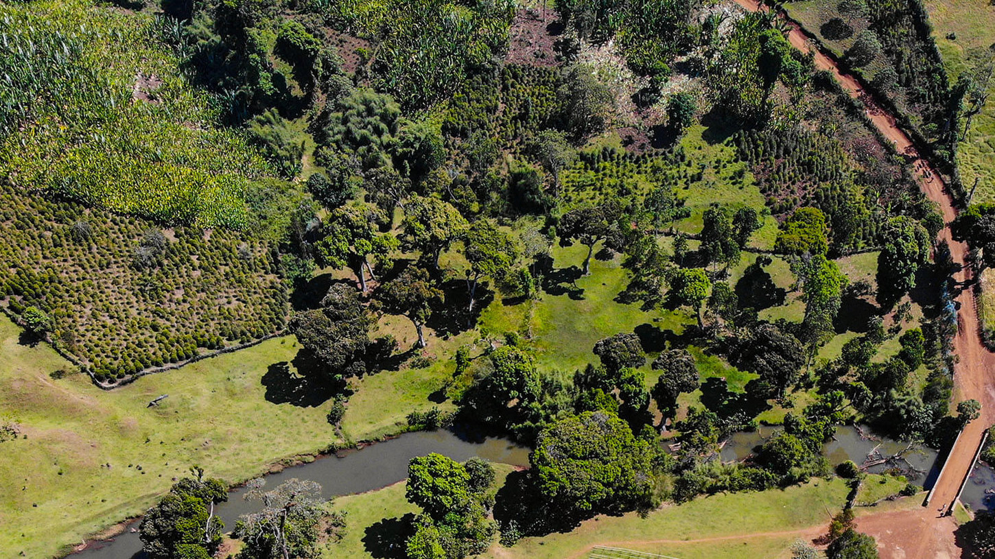 Gallery | Daye Bensa Coffee Export Plc