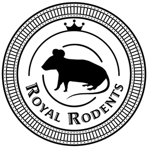 About Royal Rodents | Royal Coils Pythons