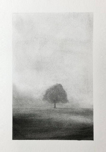 Obscured Print | Coral Harding