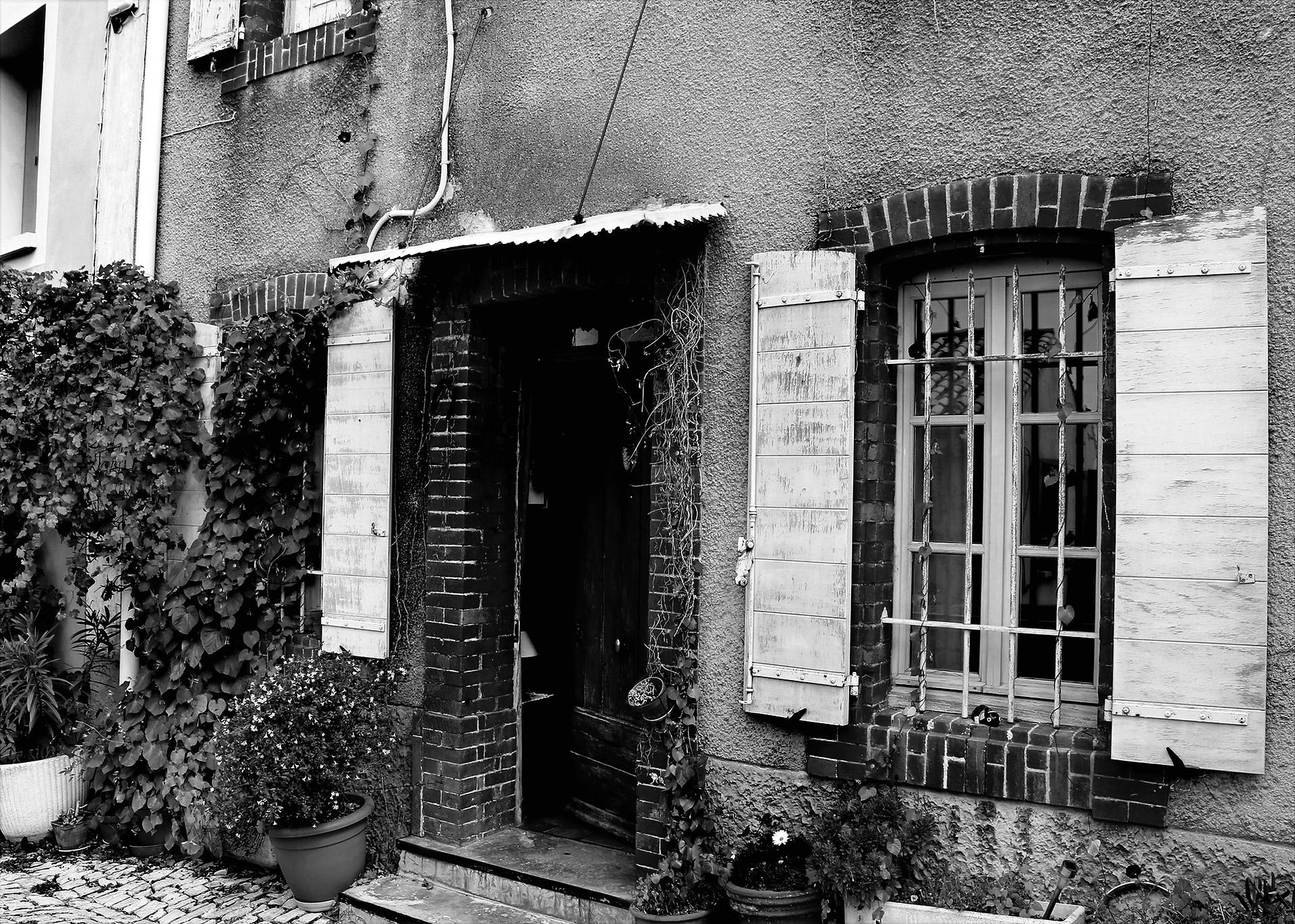 Author | Anna Mae Perillo- Poet, Novelist, Playwright