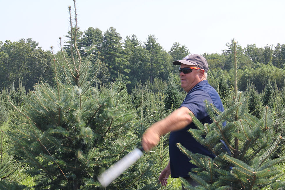 OPEN FARM DAY | Southwick Ag Comm