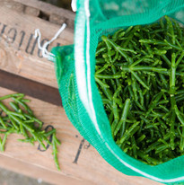 ZEEUWS ZILT | Zeeuws Zilt