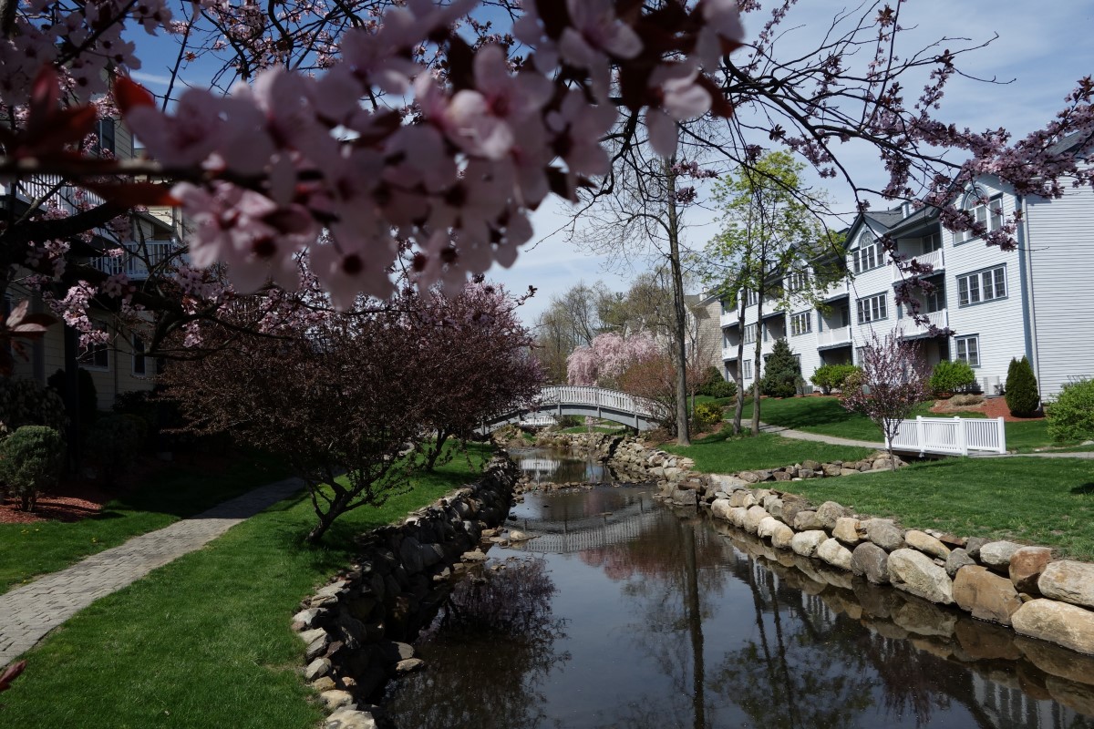 Apartments | normandy-village