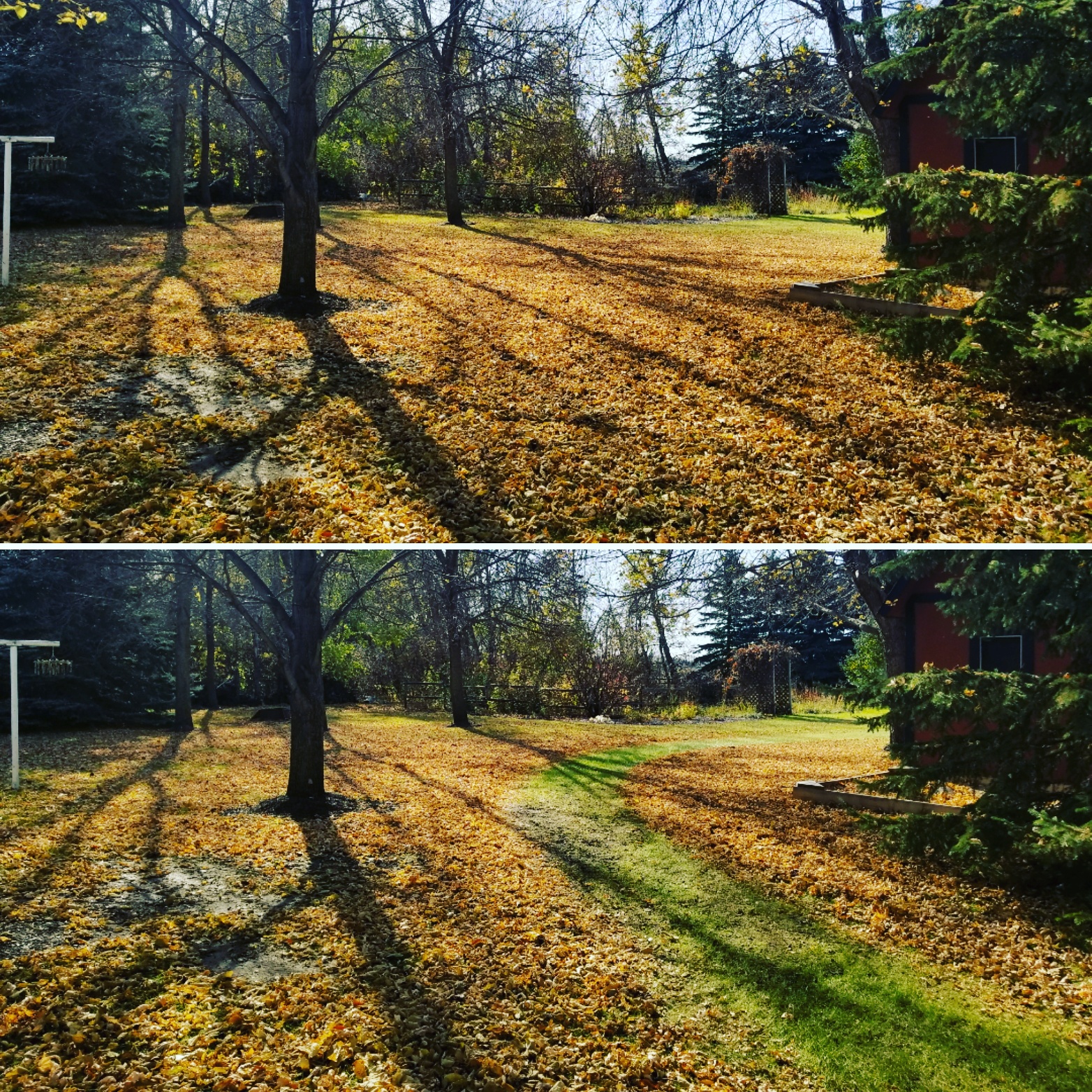 Experience a 'Clean Sweep' with Sweep-All Turf Solutions!