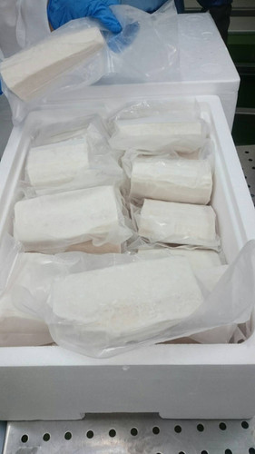 Escolar Saku | AAA Int. Seafood