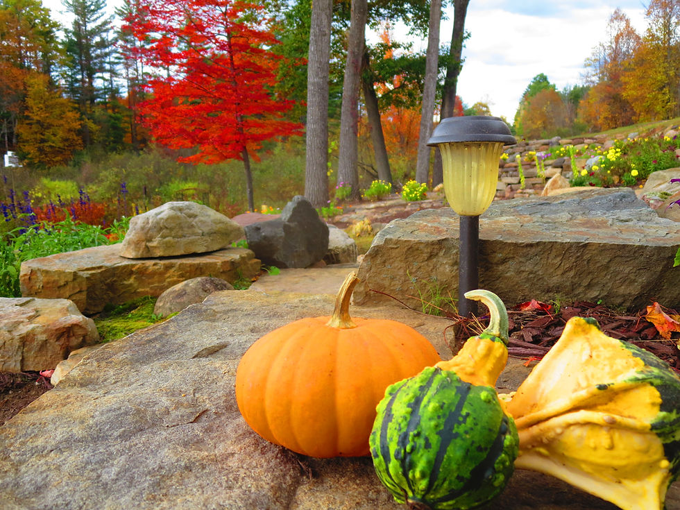 Serenity Gallery | serenity-garden