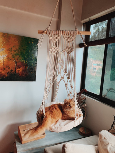 Hamaca Macrame | Gático