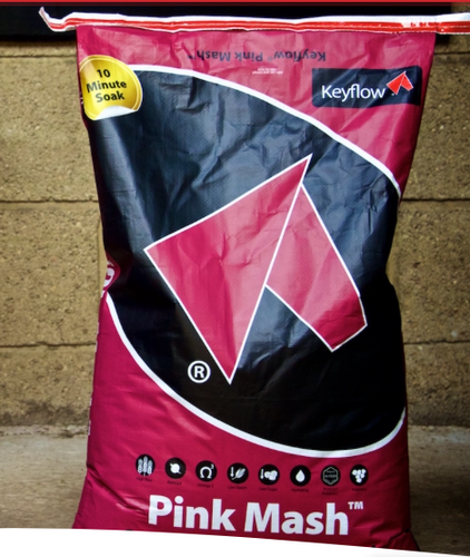 Keyflow Pink Mash | bebeequine