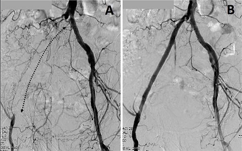 Services | Consultants in Cardiology & Electrophysiology