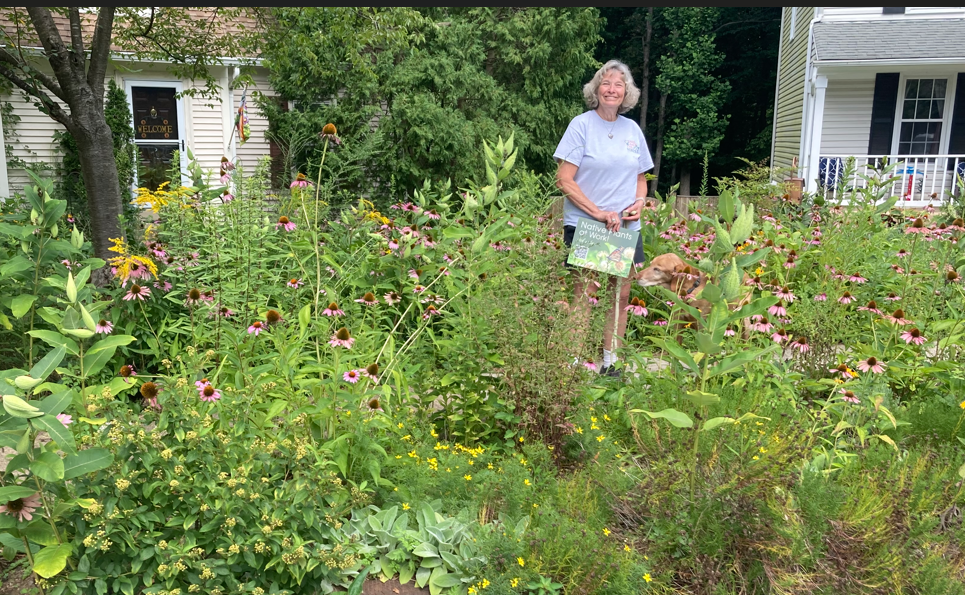 Five Great Reasons to Garden with Natives