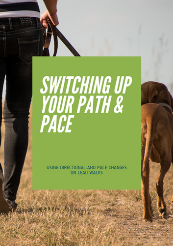 Switching Up Path & Pace E-Guide | Natural Balance
