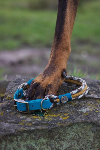 Biothane & Rope Collar | Brindle & Bramble