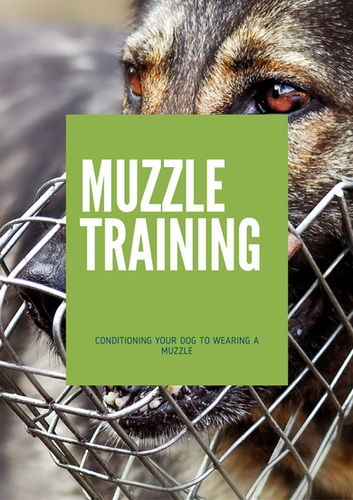 Muzzle Training E-Guide | Natural Balance