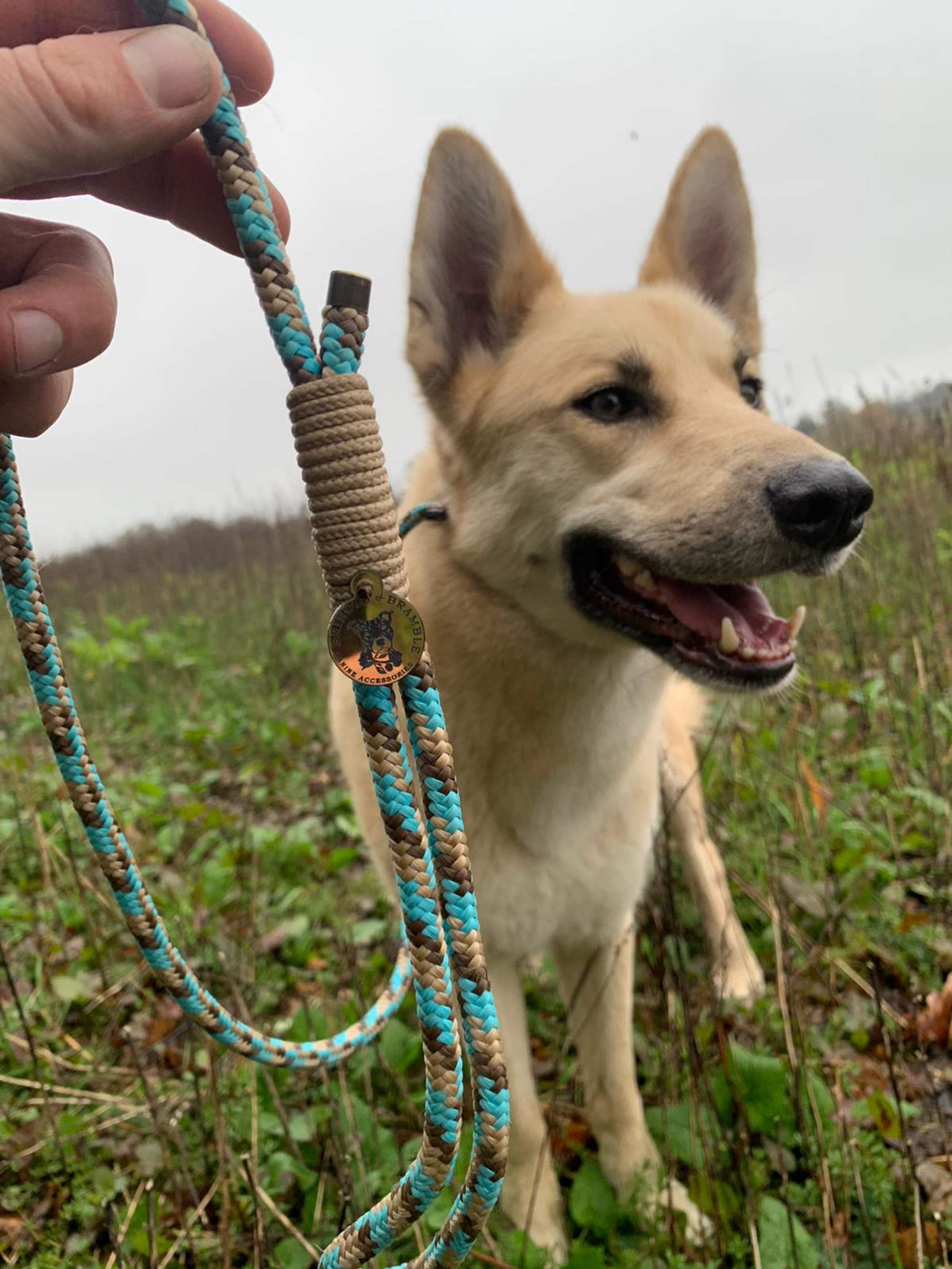 Guides | Brindle & Bramble