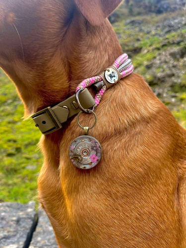 Biothane & Rope Collar | Brindle & Bramble