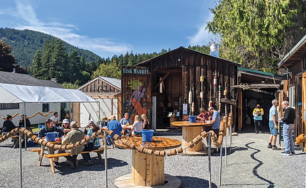 Kayak Tours | Orcas Wild Kayaks