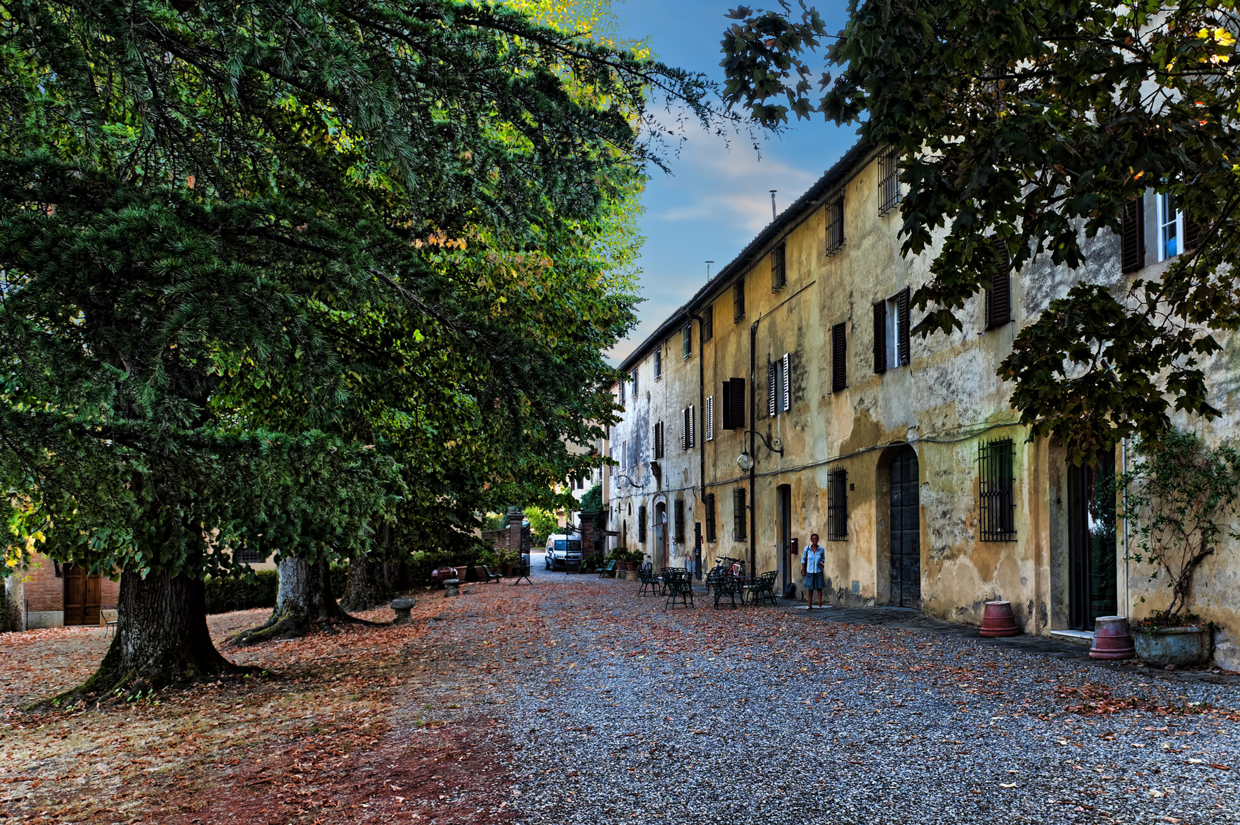 Fattoria Biologica | Pacina | Toscana