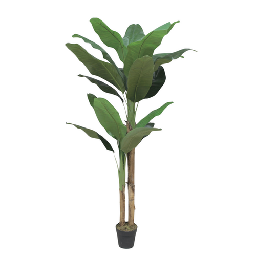 Artificial Banana Leaf Plant 180cm | Gift it