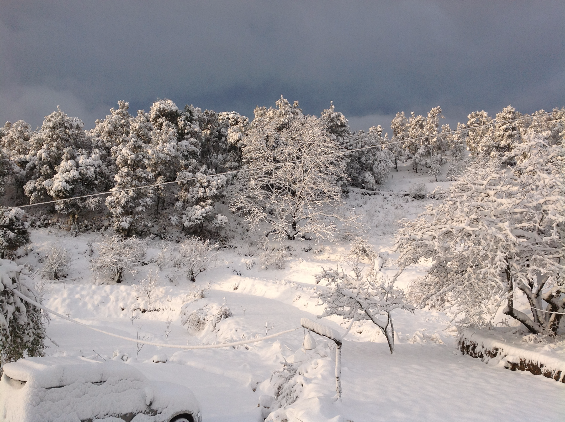 GALLERY | dunagiriretreat