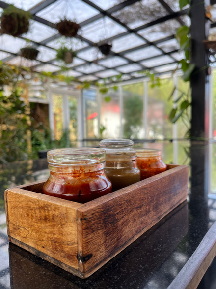 Dunagiri Retreat | Himalayan Yoga Retreat Near Mahavatar Babaji Cave