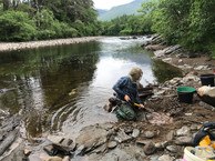 Home | Scottish Gold