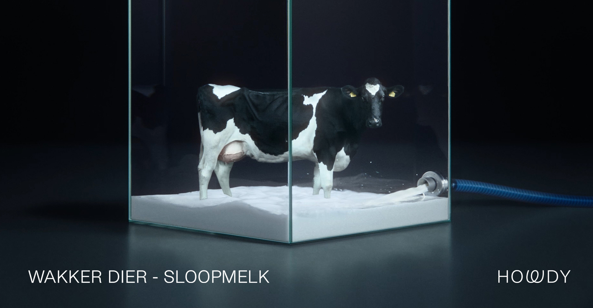 Wakker Dier | Howdy Creative Partner